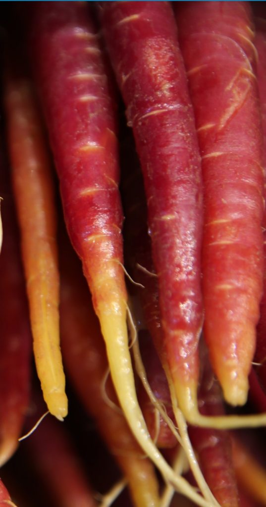 A Guide to Different Colored Carrots - Countryside